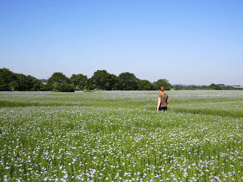 Le Camp « Lucky Strike » (Saint-Valery-en-Caux)