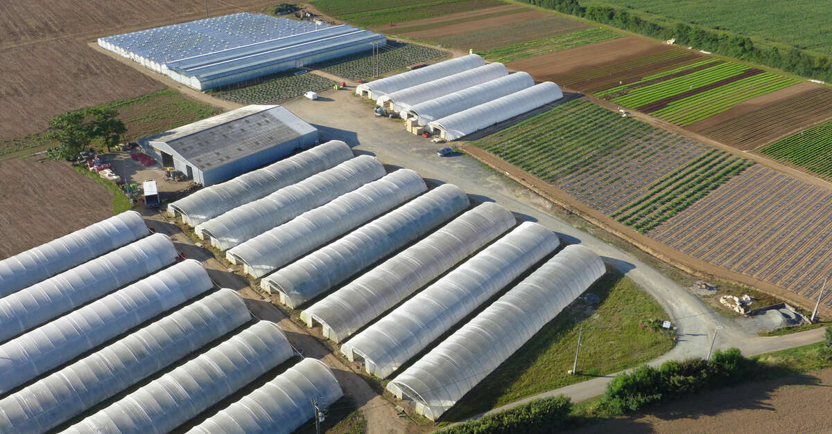 MARAICHER E.I. PORCHET YANNICK (Rives-d’Autise) | Office de Tourisme ...