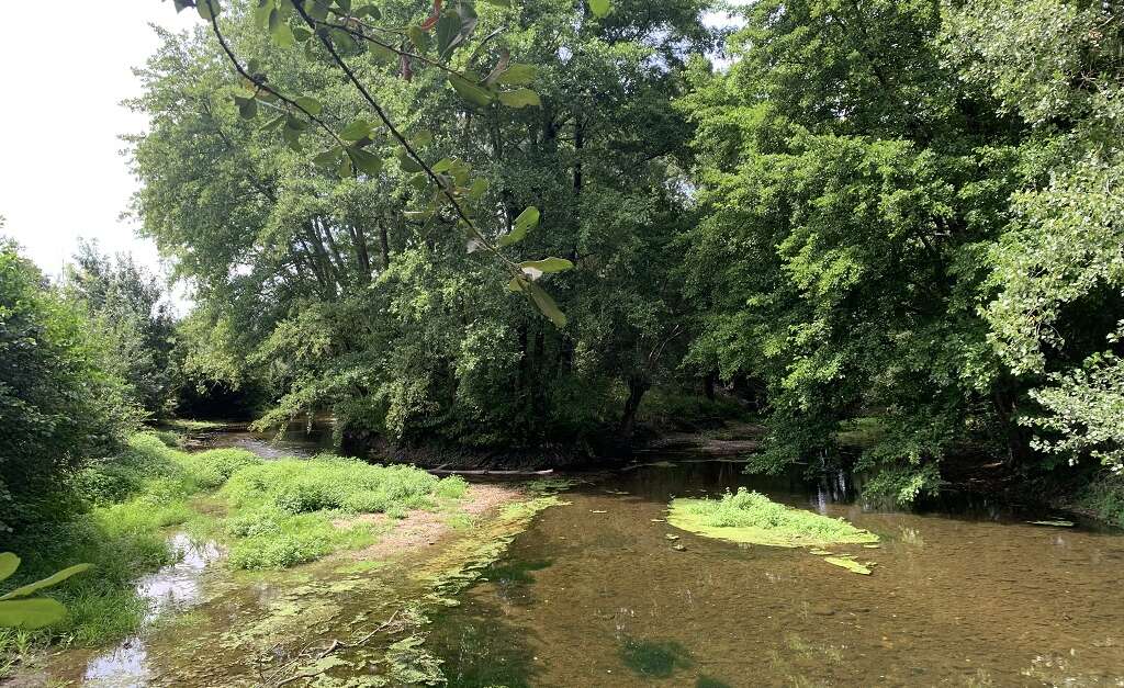 Circuit pédestre de l’Autise (Xanton-Chassenon) | Office de Tourisme ...