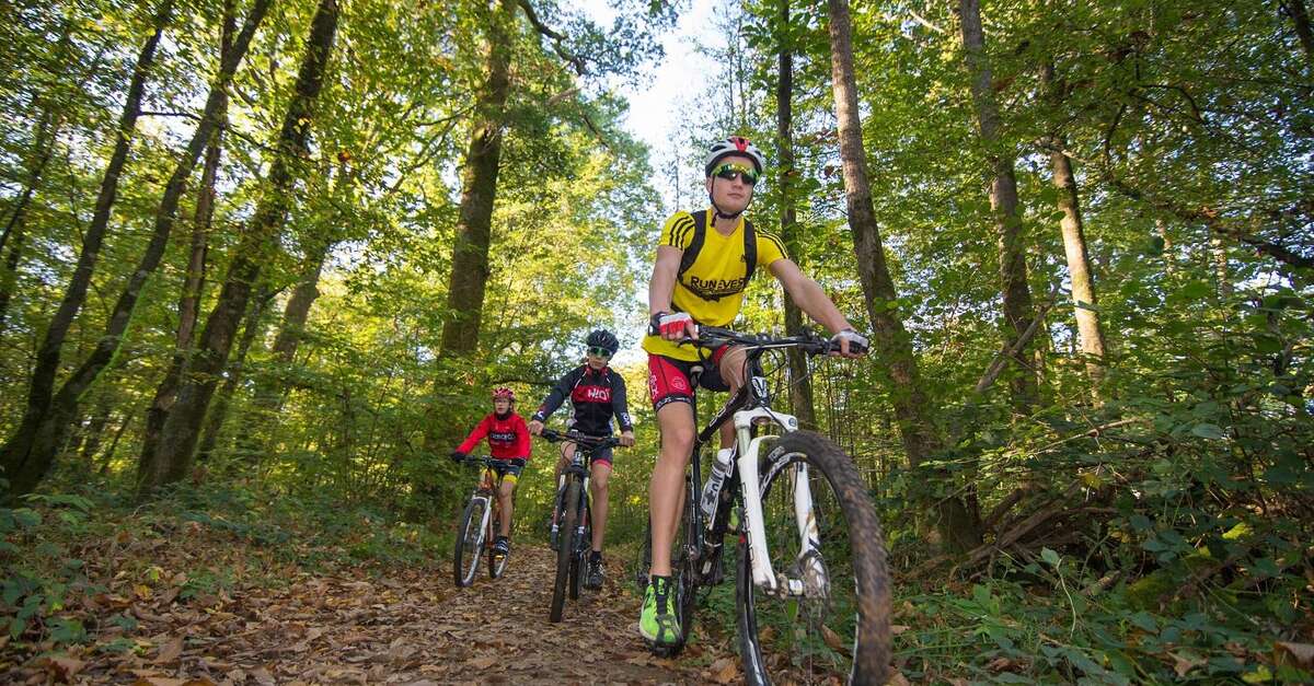 CIRCUIT VTT N°4 – SAINT-LUC (Mervent) | Office de Tourisme Vendée ...