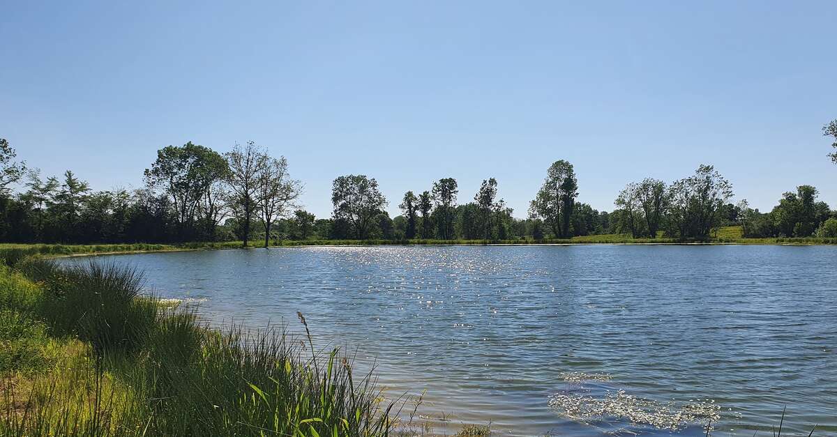 CIRCUIT PÉDESTRE LES ETANGS (Foussais-Payré) | Pays de Fontenay-Vendée ...