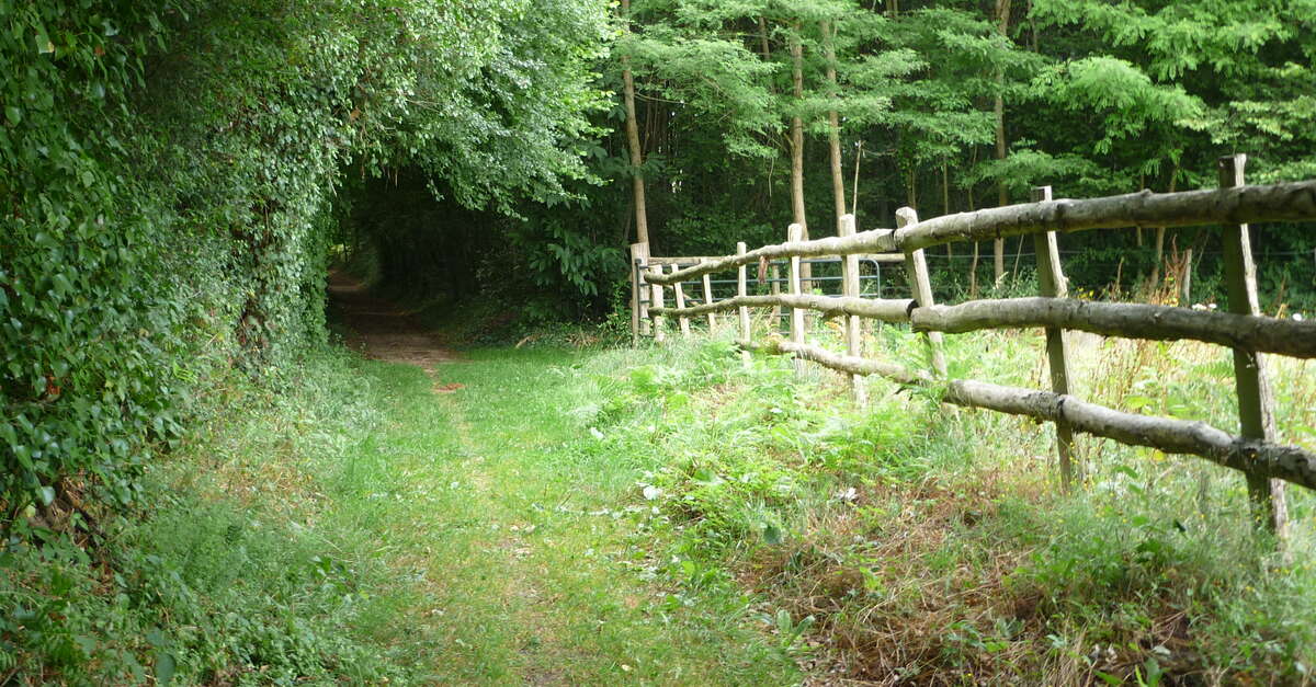N°2 : Bâtir à chaux et à sable (Briosne-lès-Sables) | Office de ...