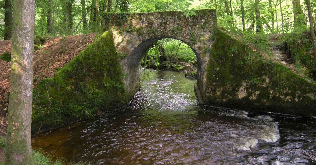 Sentier des étangs (Rilhac-rancon) | Limousin - Nouveaux Horizons