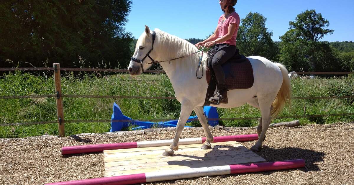 Centre équestre « Les Chevaux de Chamousseau » à Château-Chervix ...