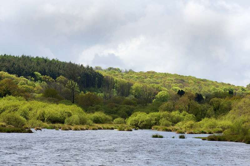 Parcours pêche de l’étang du Guic (Plougras) | Office de Tourisme de la ...