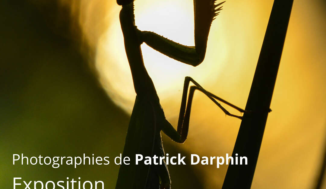 Au long des Chemins (Saint-pierre-de-frugie) | Dordogne Périgord Tourisme