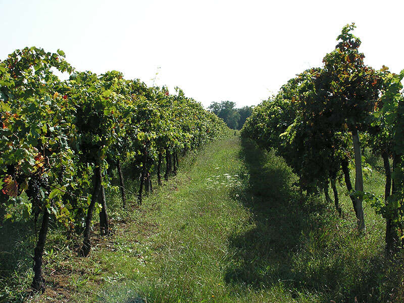 Boucle de Vélines – Vélines (Vélines) | Dordogne Périgord Tourisme