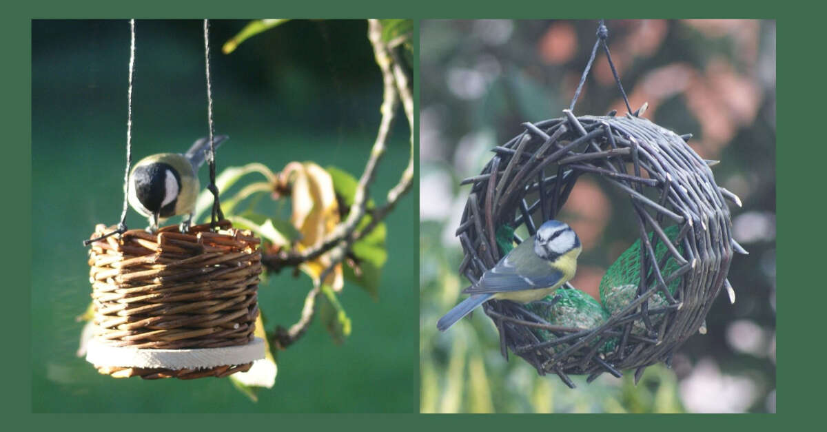 Stage de vannerie adulte | Créez deux mangeoires à oiseaux en osier ...