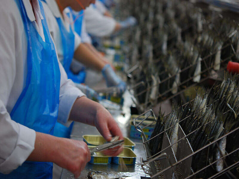 Visite de la conserverie La Compagnie Bretonne (Penmarch) | Destination ...