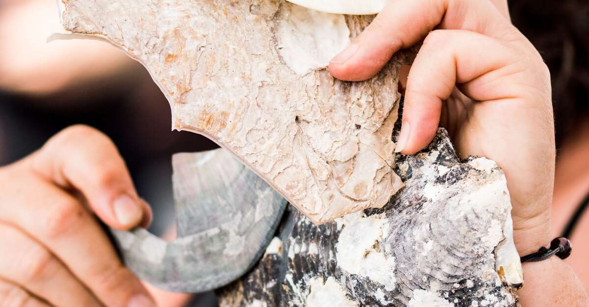 Présentation du travail de la nacre - Audierne | Cap-Sizun - Pointe du ...