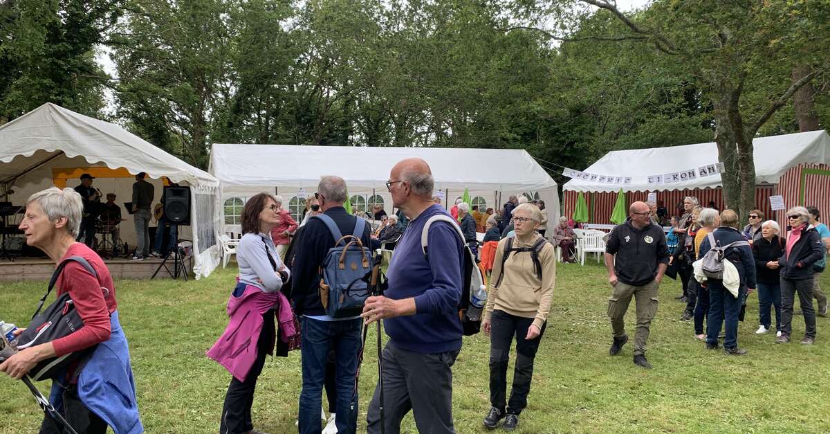 Rando des bois (Plozévet) | Destination Pays Bigouden, Brittany ...