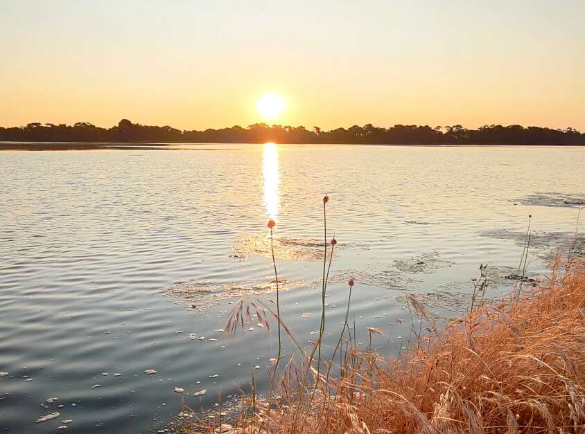 Les rendez-vous nature – L’anse du Pouldon (Combrit) | Destination Pays ...