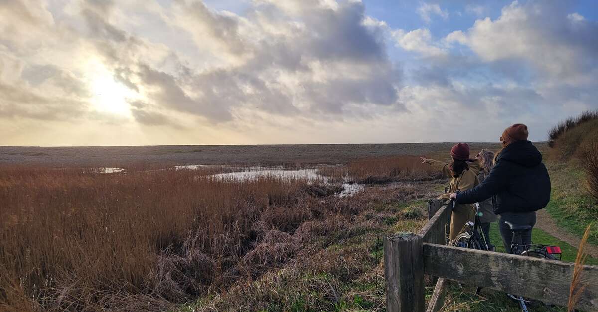 Rendez-vous au lavoir (Plovan) | Destination Pays Bigouden, Brittany ...