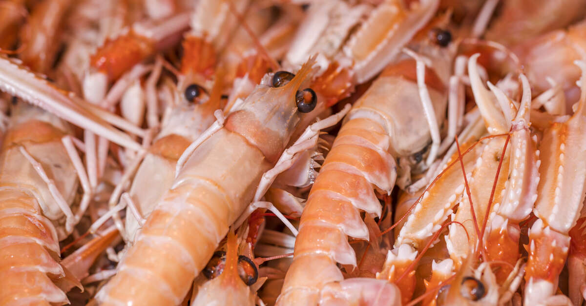 La maison de l’alimentation itinérante – Décortiquage de langoustines ...