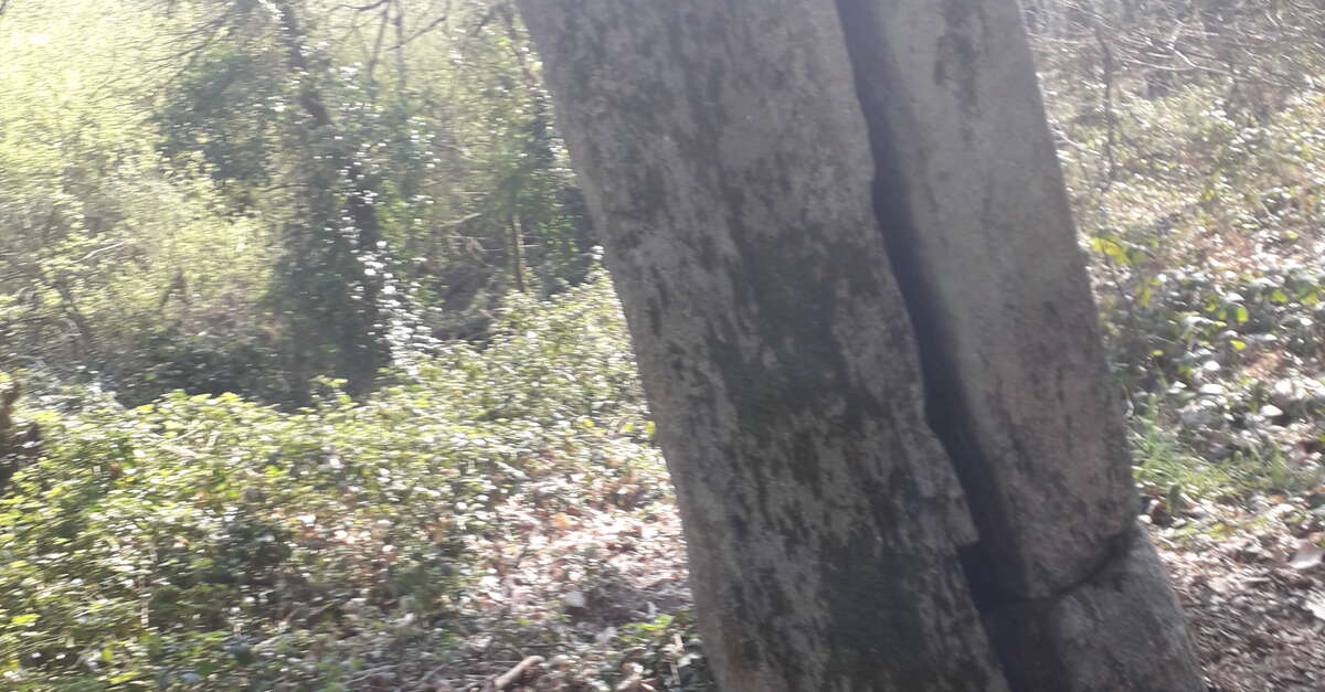 Balade contée (Plozévet) | Destination Pays Bigouden, Brittany ...