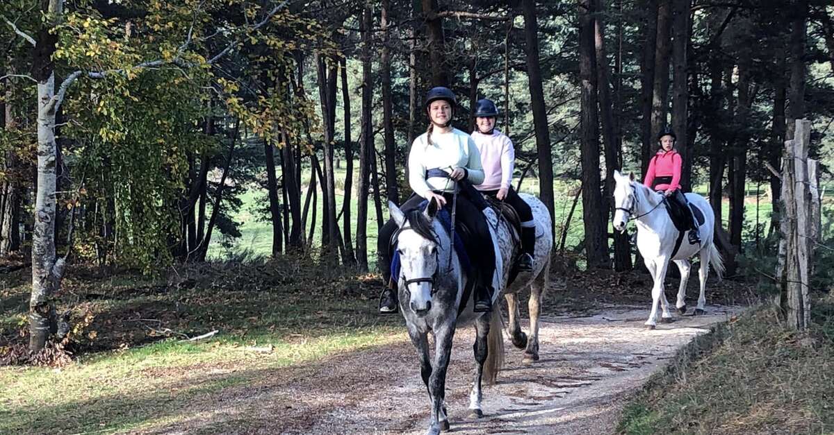 Centre équestre Cheval de Cœur (Mainsat) | Tourisme Creuse Limousin
