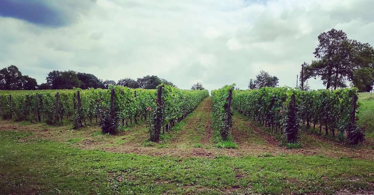Clos Larrouyat (Gan) | Pau Pyrénées Tourisme