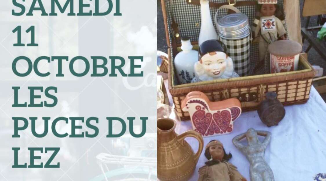 The New York Times Unveils "Pips": Exclusive Inside Look at the Latest ...