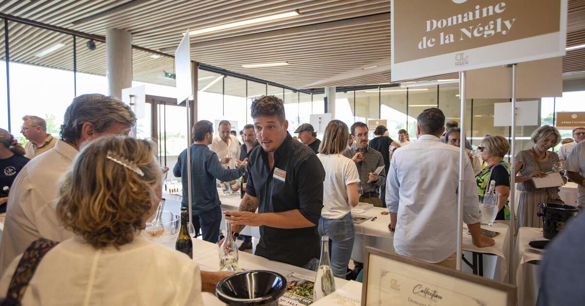 VINS PAYS D’OC IGP (Lattes) | Montpellier Tourisme