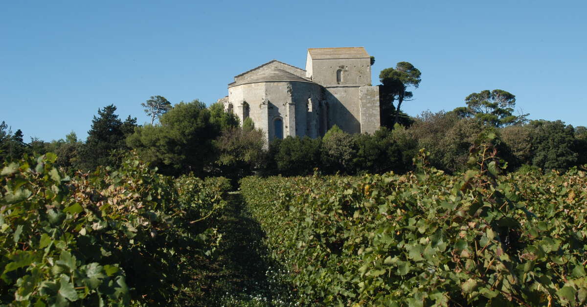 DOMAINE DES COMPAGNONS DE MAGUELONE (Villeneuve-lès-Maguelone ...