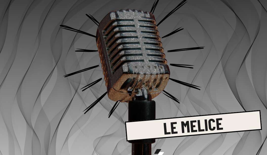 STAND UP AU MELICE – COMEDY NIGHT (Montpellier) | Montpellier Tourism