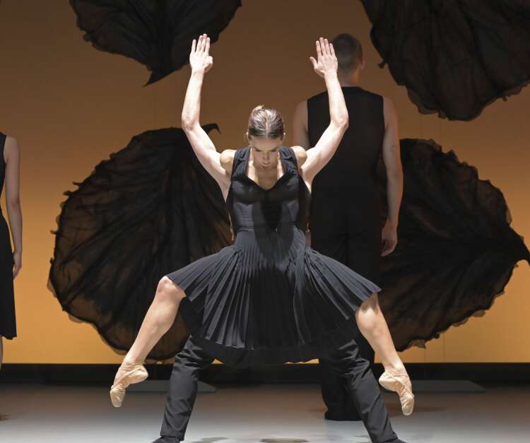 MALANDAIN BALLET BIARRITZ THIERRY MALANDAIN (Montpellier) | Montpellier ...
