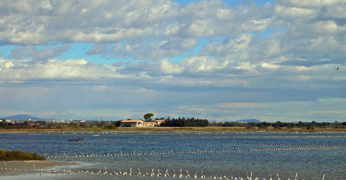 RANDONNEE DES SALINES (Villeneuve-lès-Maguelone) | Montpellier Tourisme