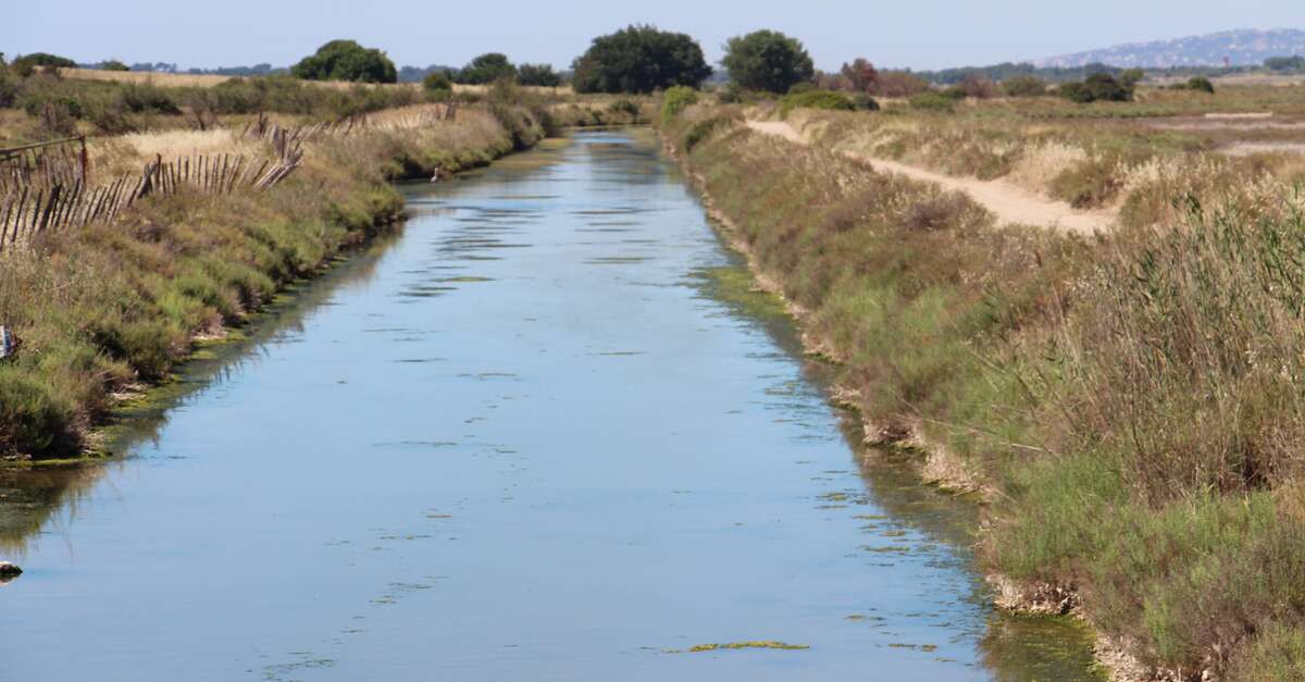 Le Site Naturel Protégé des Salines de Villeneuve (Villeneuve-lès ...