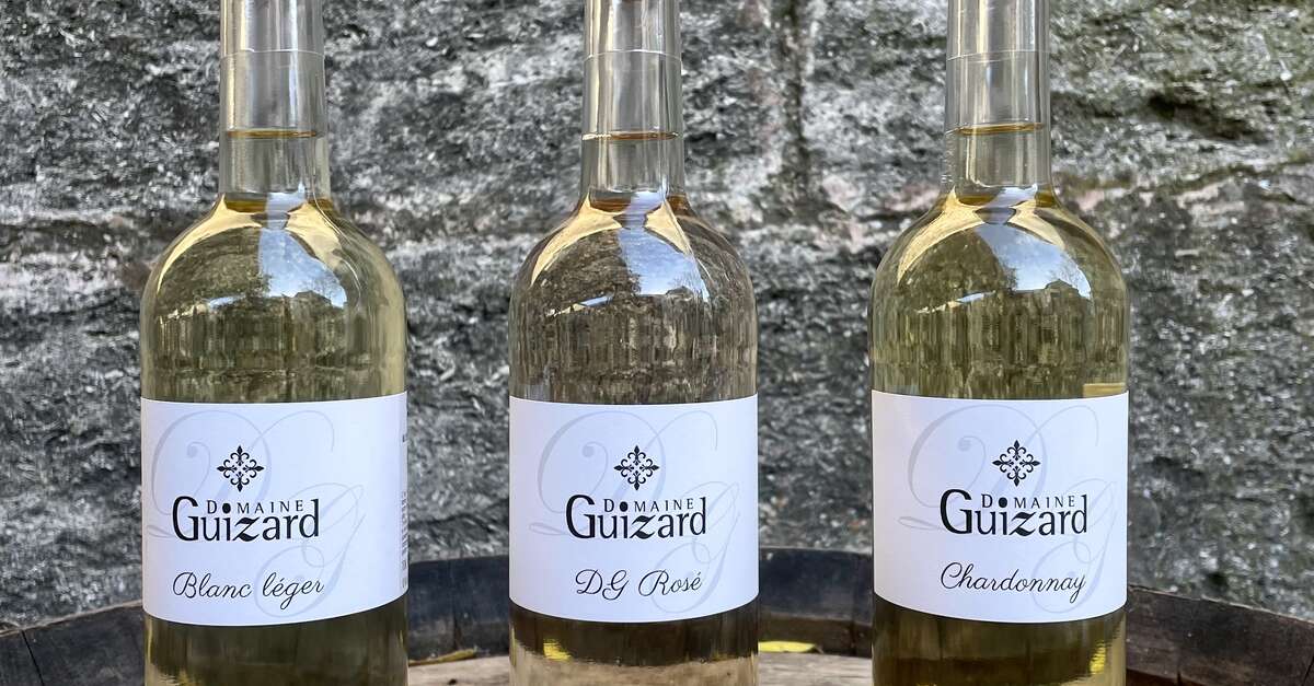DOMAINE GUIZARD (Lavérune) | Montpellier Tourism