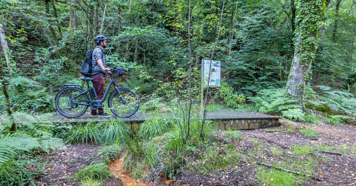 Les mines de Brais (Vieux-Vy-sur-Couesnon) | Ille & Vilaine Tourism (35) en Brittany