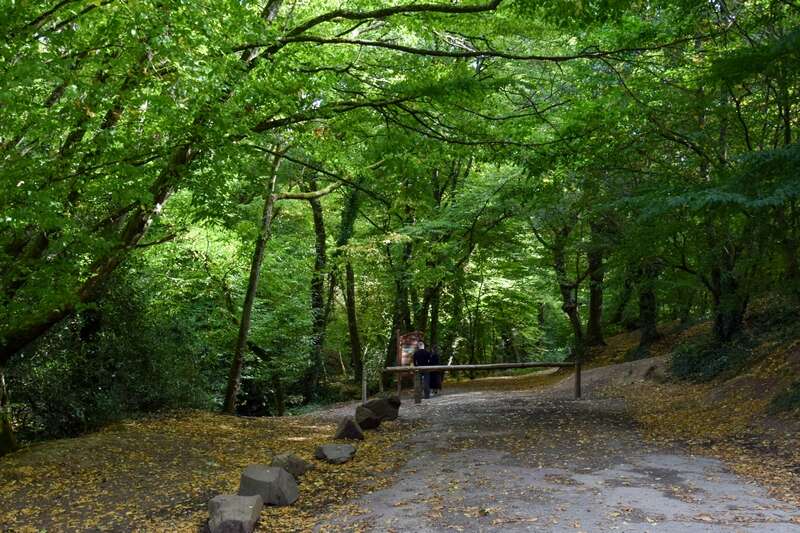 Forêt de Paimpont en Brocéliande (Paimpont) | Ille-et-Vilaine Tourisme ...