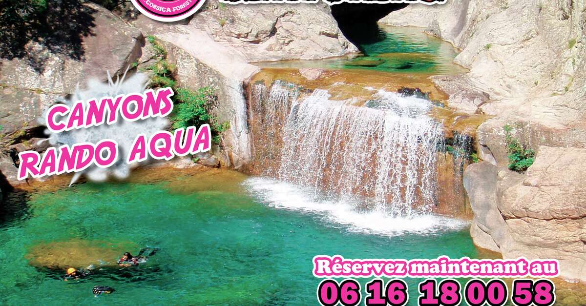 CORSICA FOREST (Sari-Solenzara) | Office de Tourisme de Bonifacio