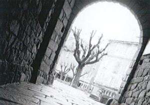 LE ROY THEODORE (Sartène) | Office de Tourisme de Propriano, Sartène ...