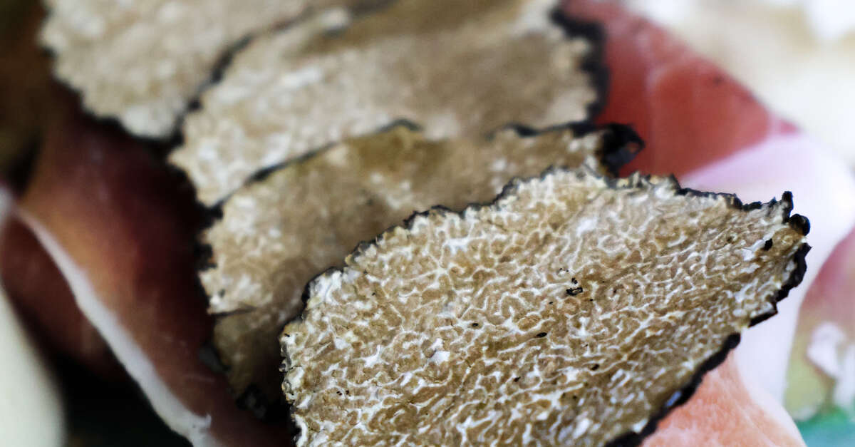 Maison aux Mille Truffes (Marey-lès-Fussey) | Beaune et le Pays ...