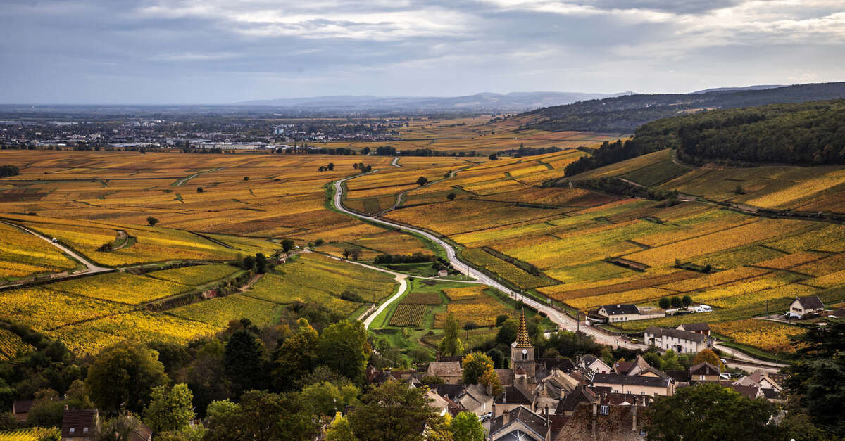 Chemins de Bourgogne (Beaune) | Turismo en Beaune y su región - Borgoña