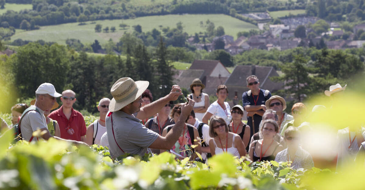 OeNolay Tour (Nolay) | Beaune und das Pays Beaunois Tourismus - Burgund