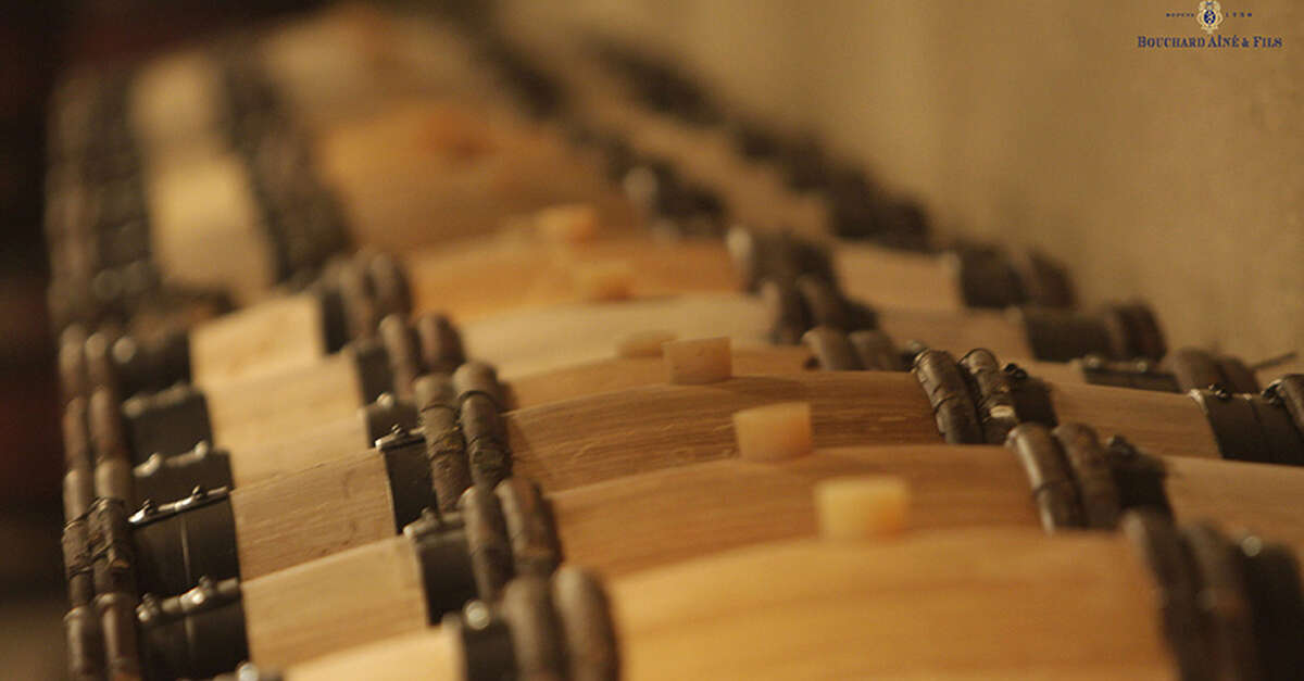 Maison Bouchard Ainé & Fils (Beaune) | Beaune and the Beaune region ...