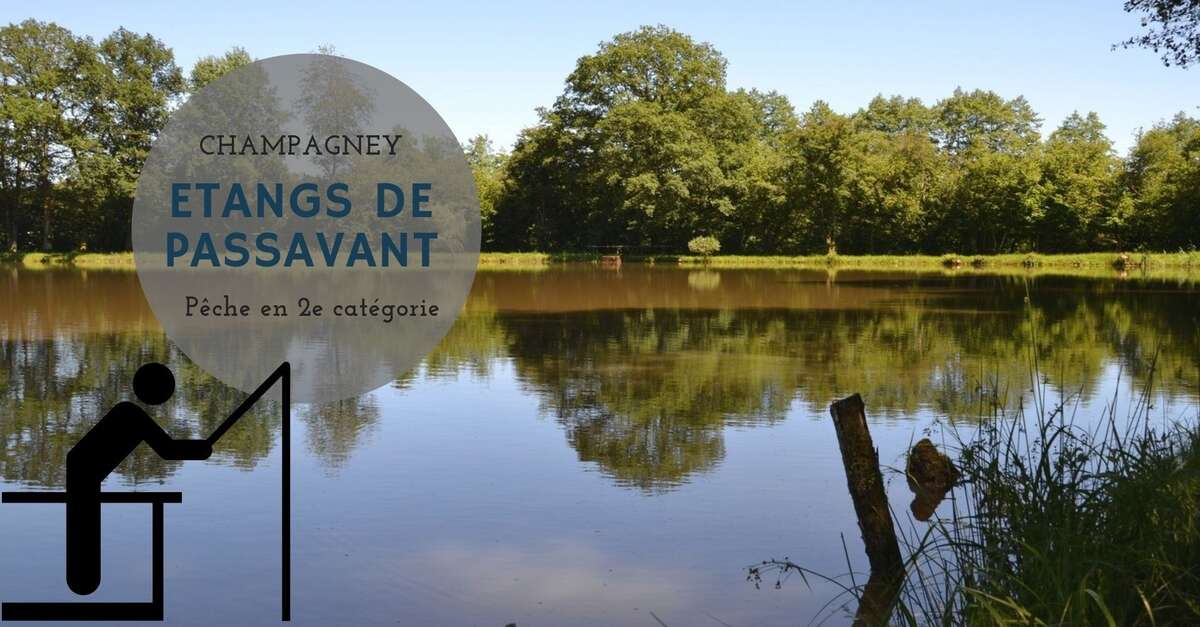 Etangs de Passavant (Champagney) | Haute-Saône Tourisme