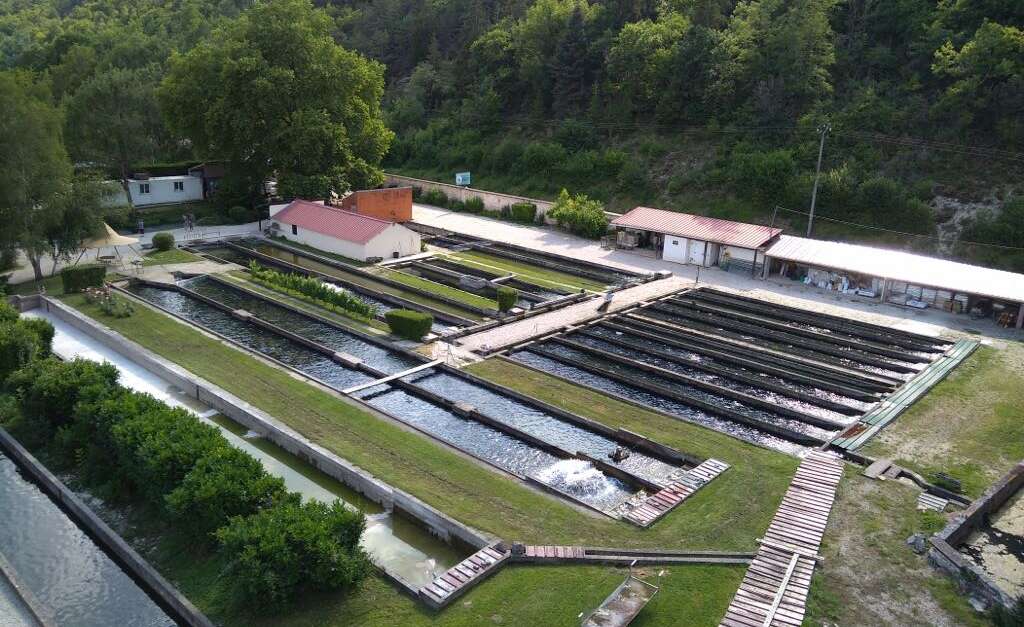 La Ferme Aquacole de Crisenon (Prégilbert) | Fremdenverkehrsamt von ...