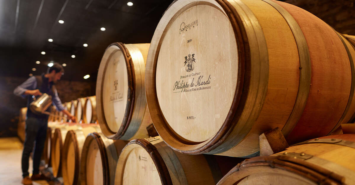 Château Philippe le Hardi – Visite dégustation “Fons Boni & Sani ...