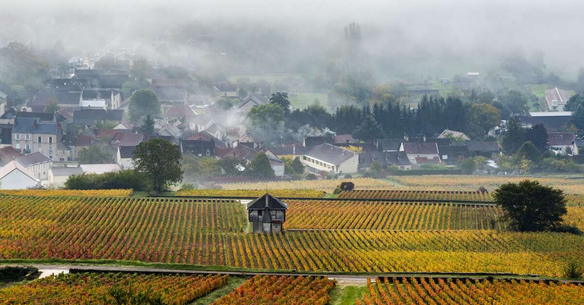 Chemins de Bourgogne – Journée en Côte de Beaune et Côte de Nuits ...