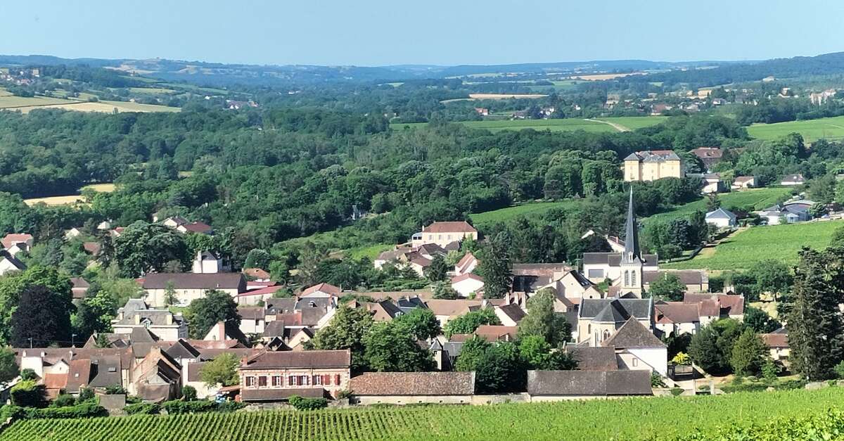 Maison vigneronne au cœur de Santenay (Santenay) | Beaune and the ...
