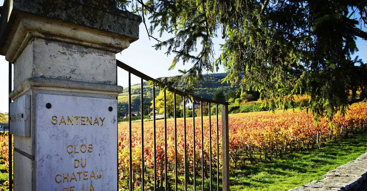 Expérience – Dégustation de La Crée (Santenay) | Beaune et le Pays ...