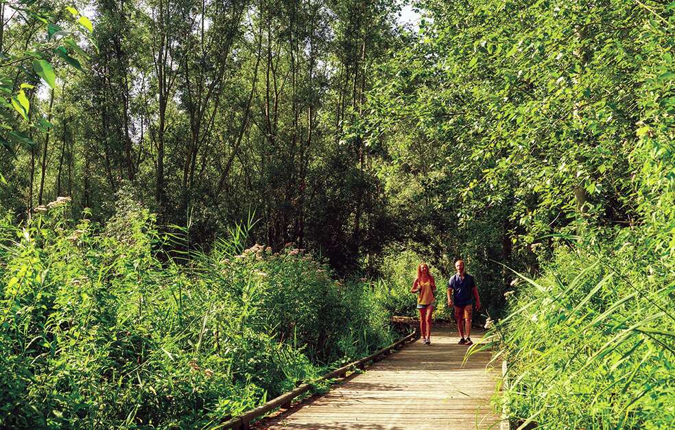 La Melde (Aire-sur-la-Lys) | Office de Tourisme du Pays de Saint-Omer