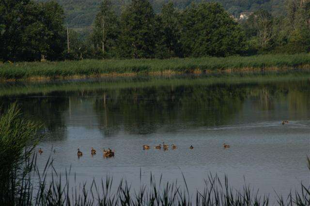Les Grandes Terres – Circuit VTT-VTC en Forez (Savigneux) | Loire Tourisme