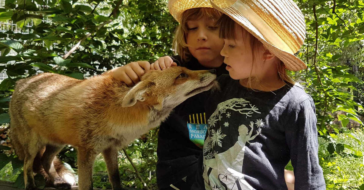 Animals and Marino (Saint-Andiol) | Avignon Tourisme