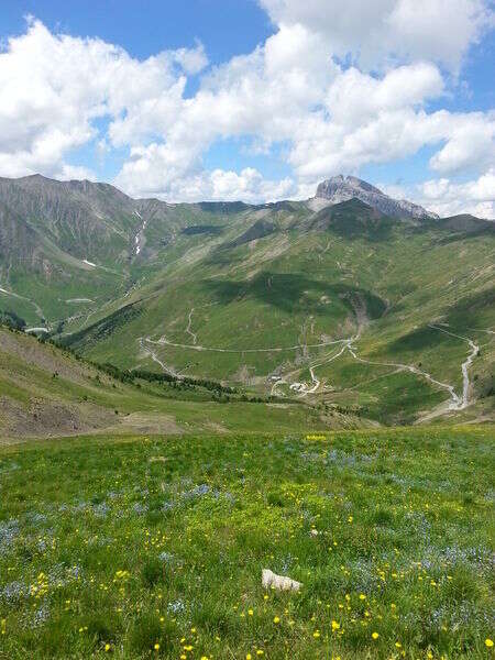 Col d’Allos (La Foux D’allos, Allos) | Provence-Alpes-Côte d'Azur Tourisme