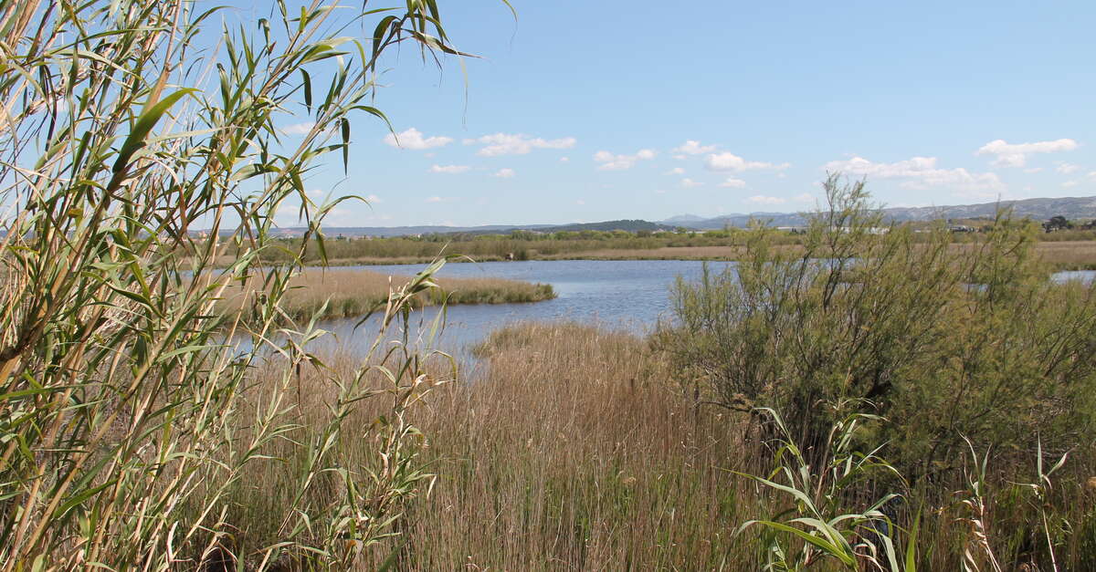 Sorties nature à Marignane (Marignane) | Office de Tourisme de Marignane