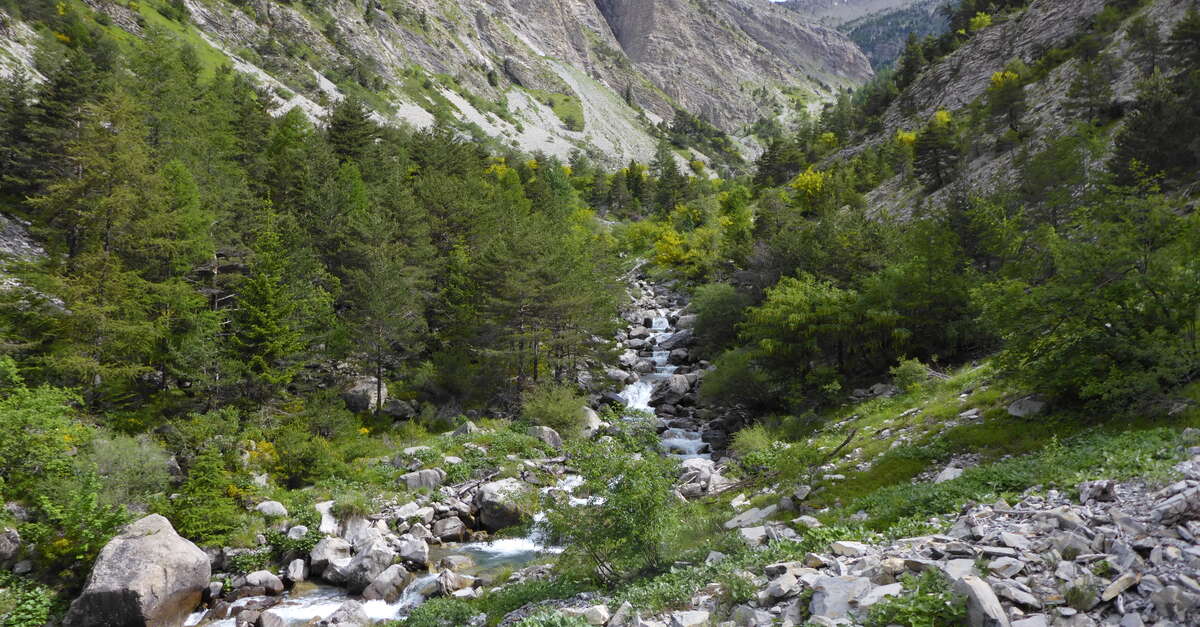 Trail N°9 – Montée Tête de l’Estrop (Prads-Haute-Bléone) | Provence ...