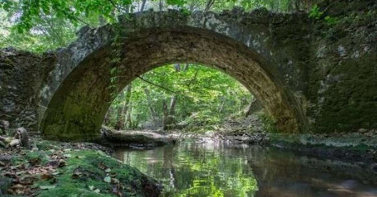 Forêt de Palayson, Bois du Rouet – deux sites Natura 2000 (Saint-Paul ...